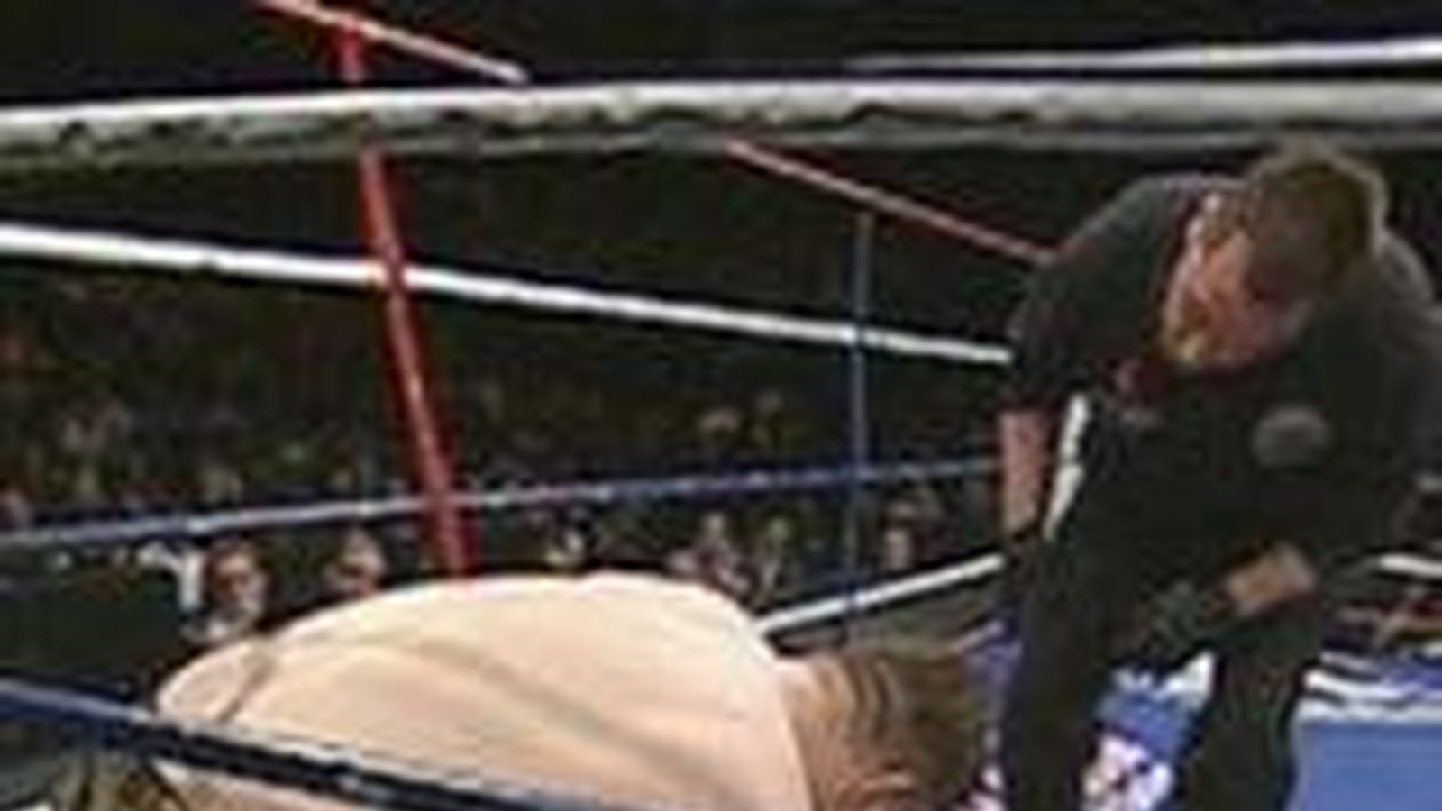 Roy Nelson vs. Vince Lucero Online - TrillerTV