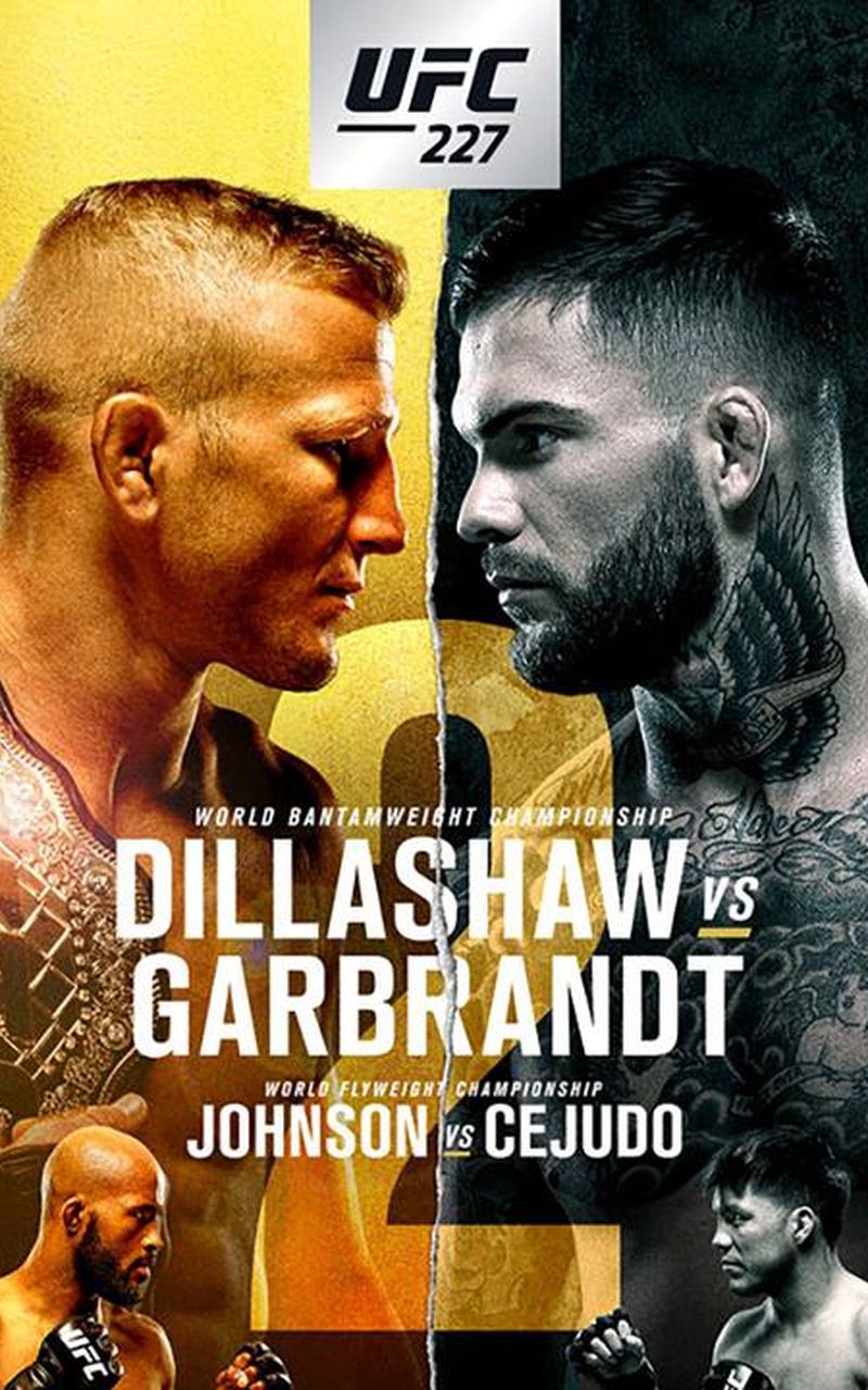 Ufc 227 Dillashaw Vs Garbrandt 2 Ppv Replay Trillertv Powered