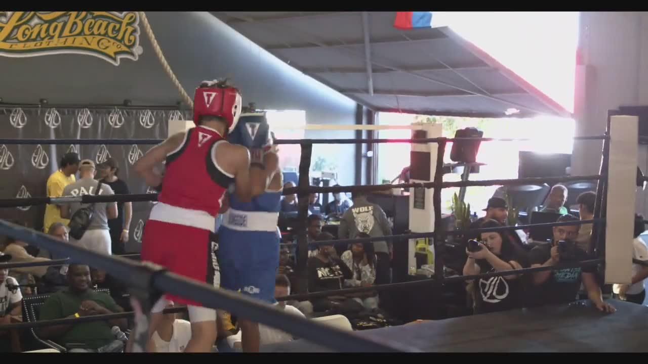 JackRabbit Boxing: Back to School Boxing Tournament - Official Replay ...