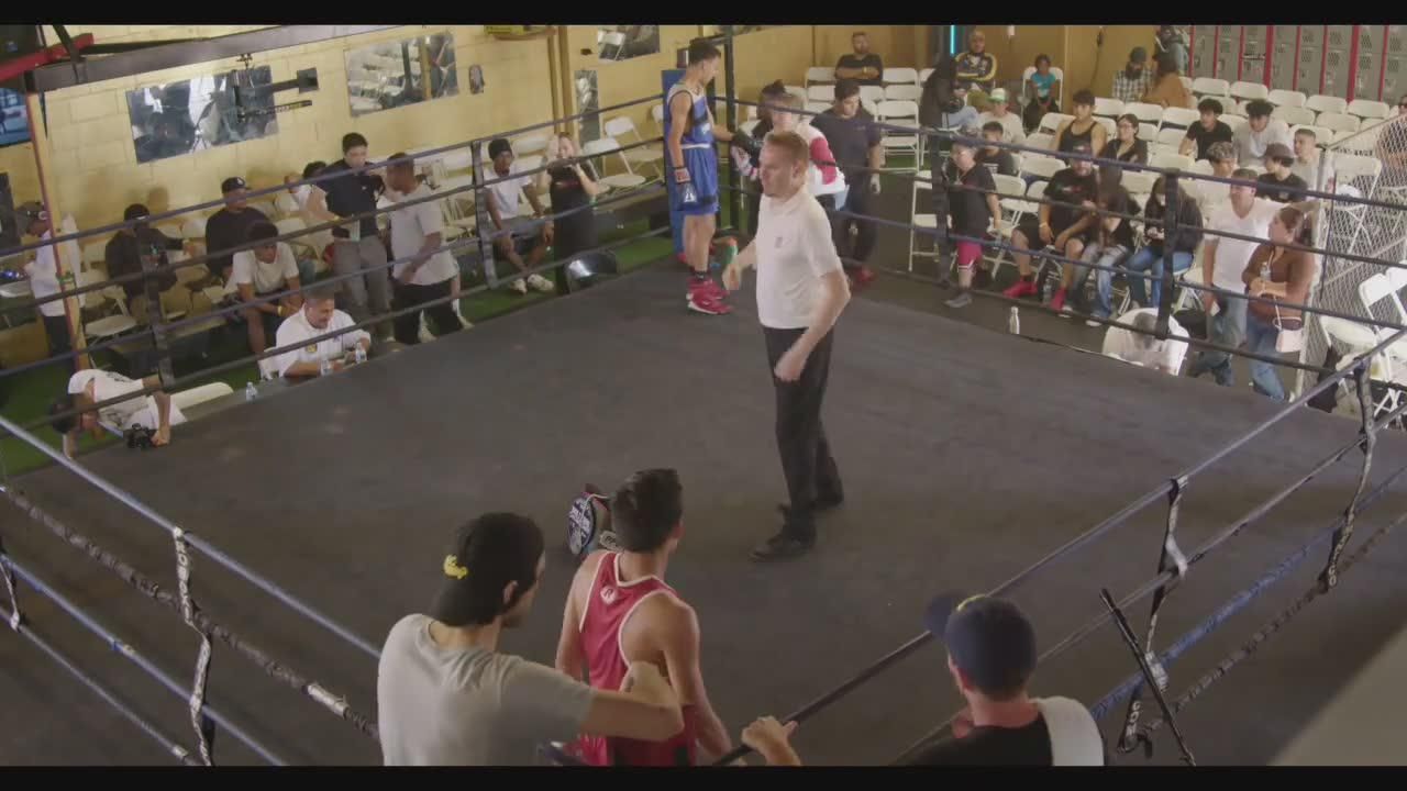 JackRabbit Boxing: Back to School Boxing Tournament - Official Replay ...