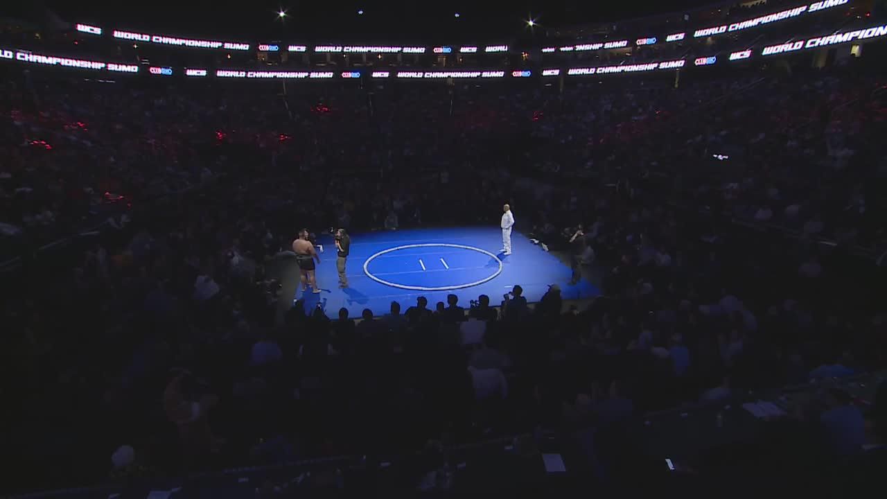 International Sumo League: World Championship Sumo - Official Free ...
