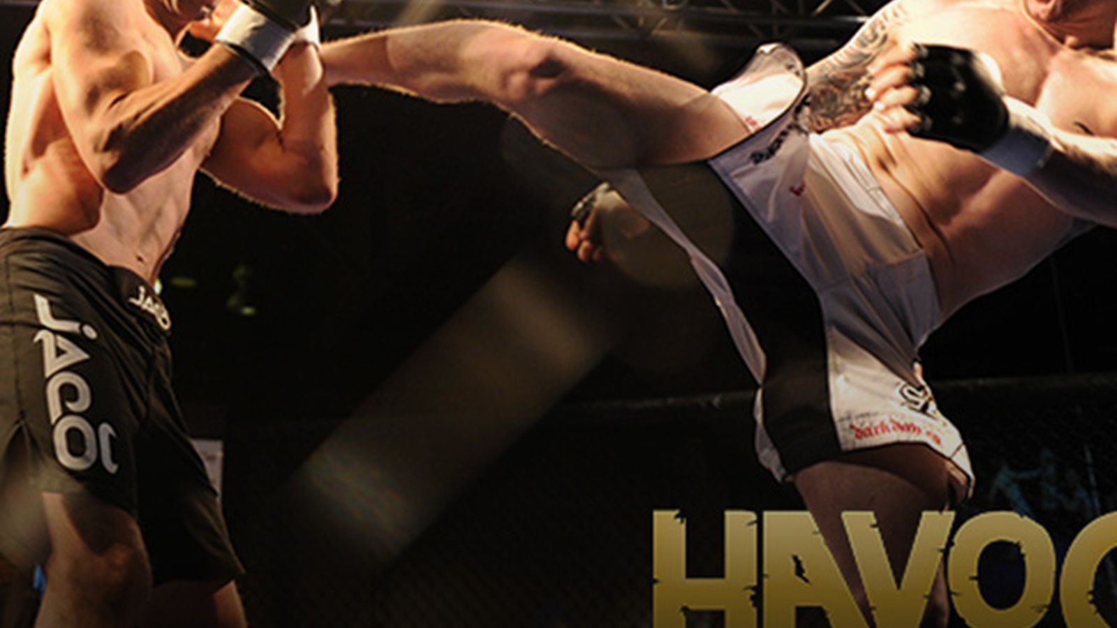 Havoc FC 12: Grayson Wells vs Dustin Joynson - Official Replay - TrillerTV